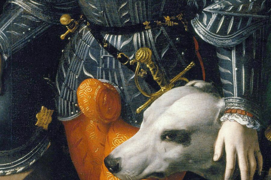 Why Were The Tudors, Especially Henry VIII, Obsessed With The Codpiece?